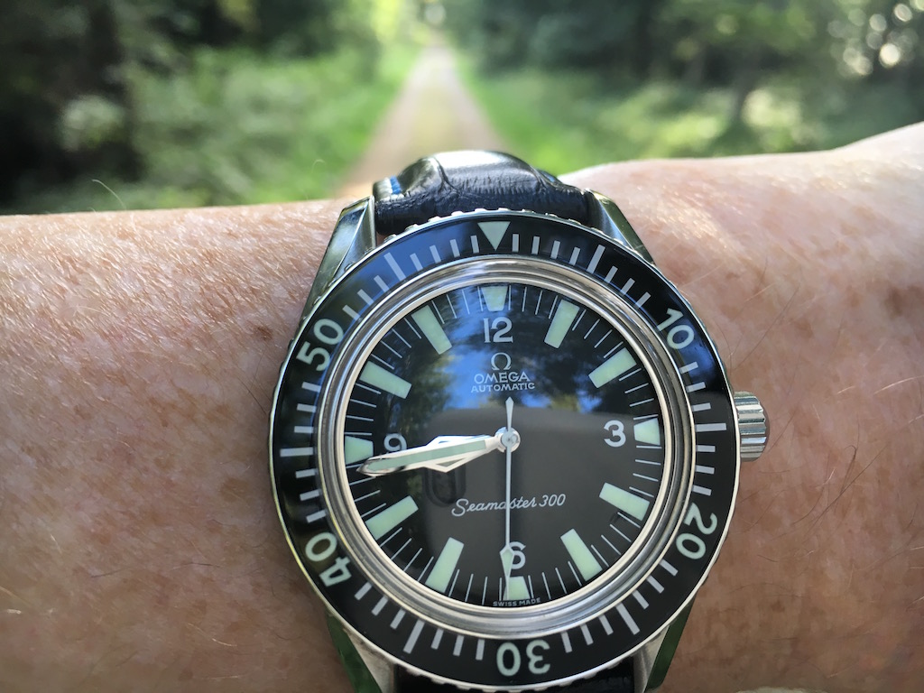 TimeZone : Omega » my "new" Watchco SM300